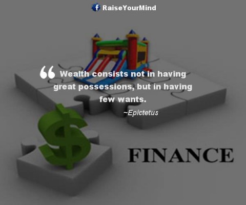 Finance Quotes & Sayings | Wealth consists not in having great ...