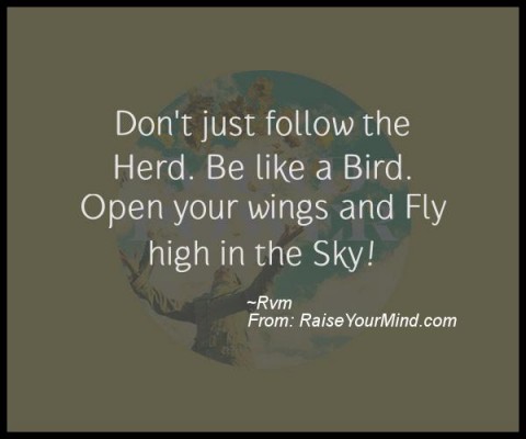 Motivational & Inspirational Quotes | Don’t just follow the Herd. Be ...